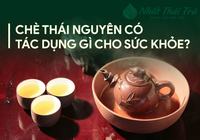 Nhất Thái Trà - 10 Tác dụng đặc biệt của chè Thái Nguyên